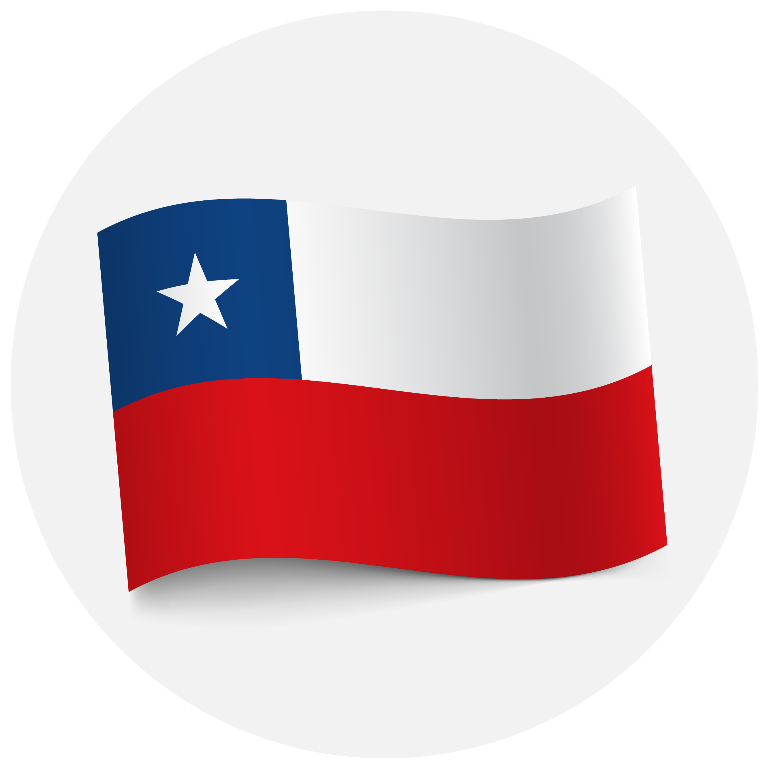 Chilean Designee announcement - World Moo Duk Kwan®